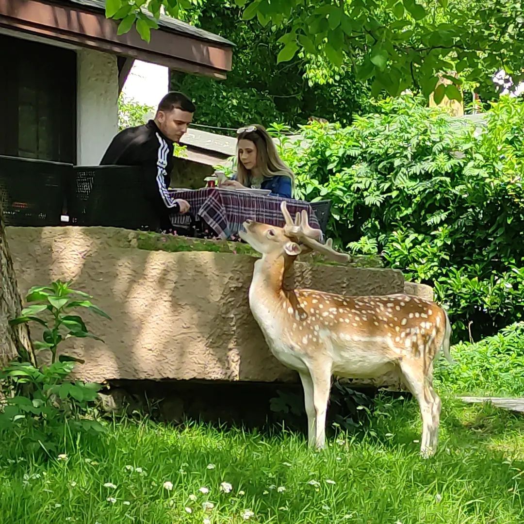 Polonezkoy Country Club (Zoo and Natural Life Park) – Eng-Istanbul Web ...