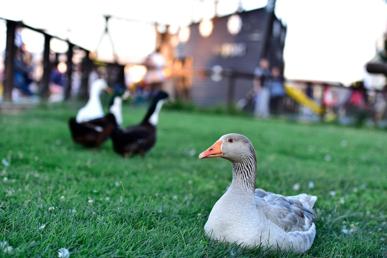 Viaport Outlet Shopping Mall – Eng-Istanbul Web Guide